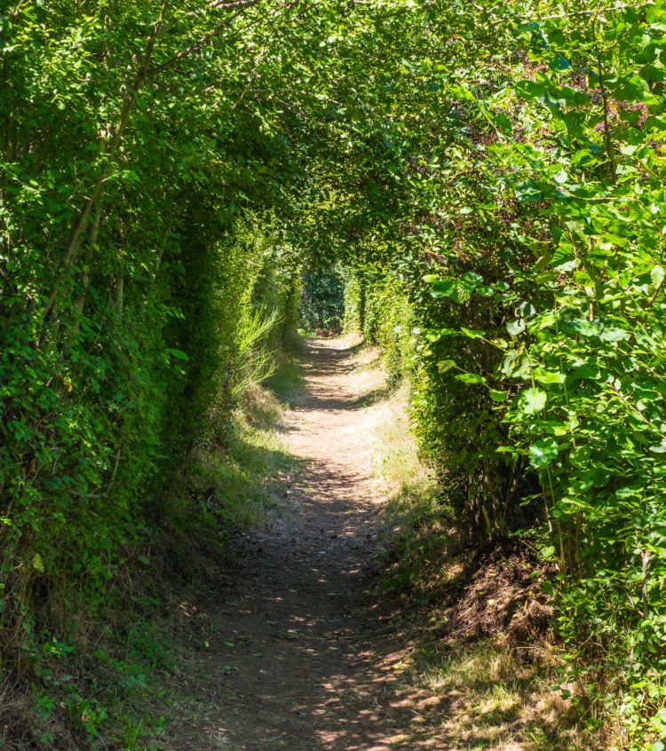 Think your life is hard? Check out the medieval farms at Xaintrie in ...