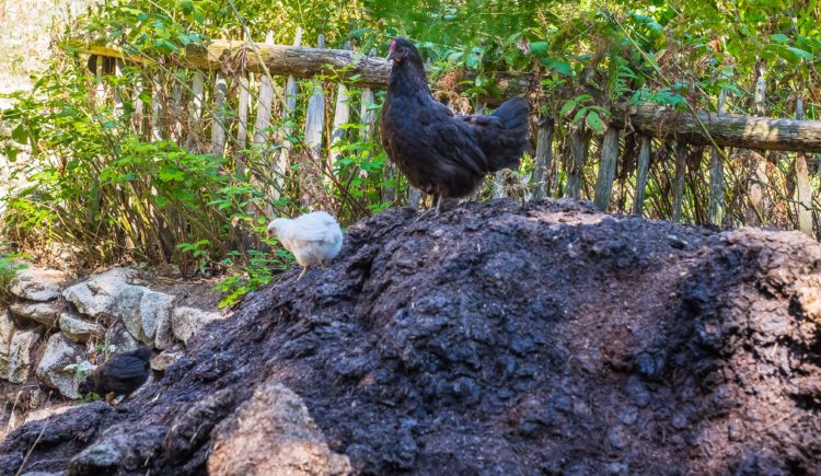 Think your life is hard? Check out the medieval farms at Xaintrie in ...