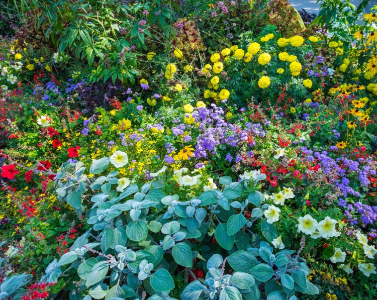 Visit medieval Pérouges - one of France's official "Most Beautiful ...