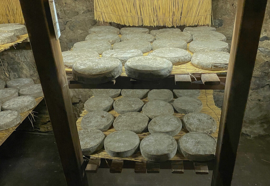 Saint-Nectaire is not just about that world-famous cheese - Deep Heart ...