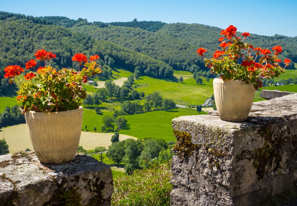 Délicieux – a good story about good food set in the deep heart of ...