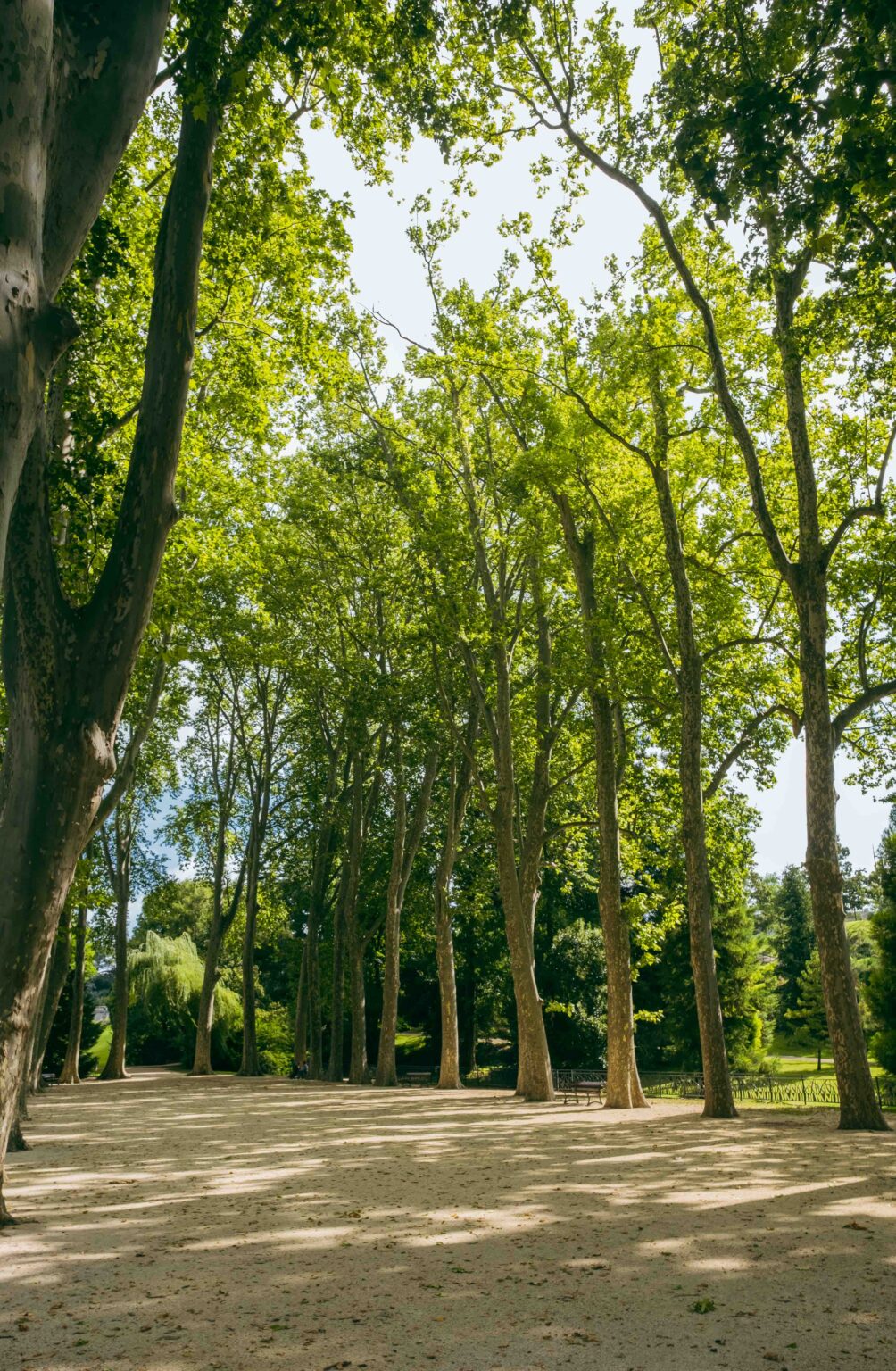 VALENCE: France’s “Gateway to the South” has a big-city feel - Deep ...