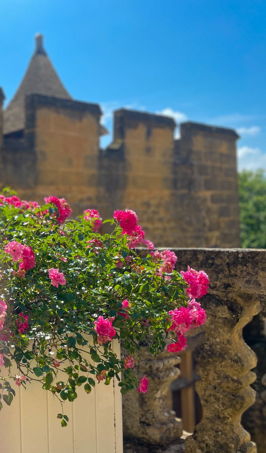 Visit Puymartin - the castle haunted by the White Lady - Deep Heart of ...